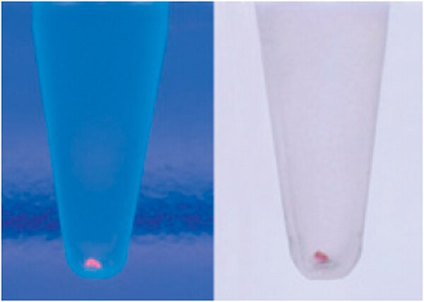 Pellet Paint® NF Co-Precipitant | 70748